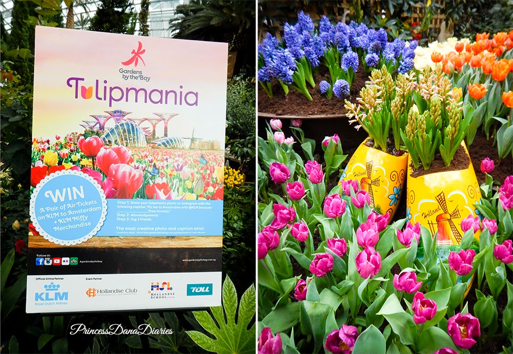 Tulipmania 2014 - The Colours, the Crowd and the Company!