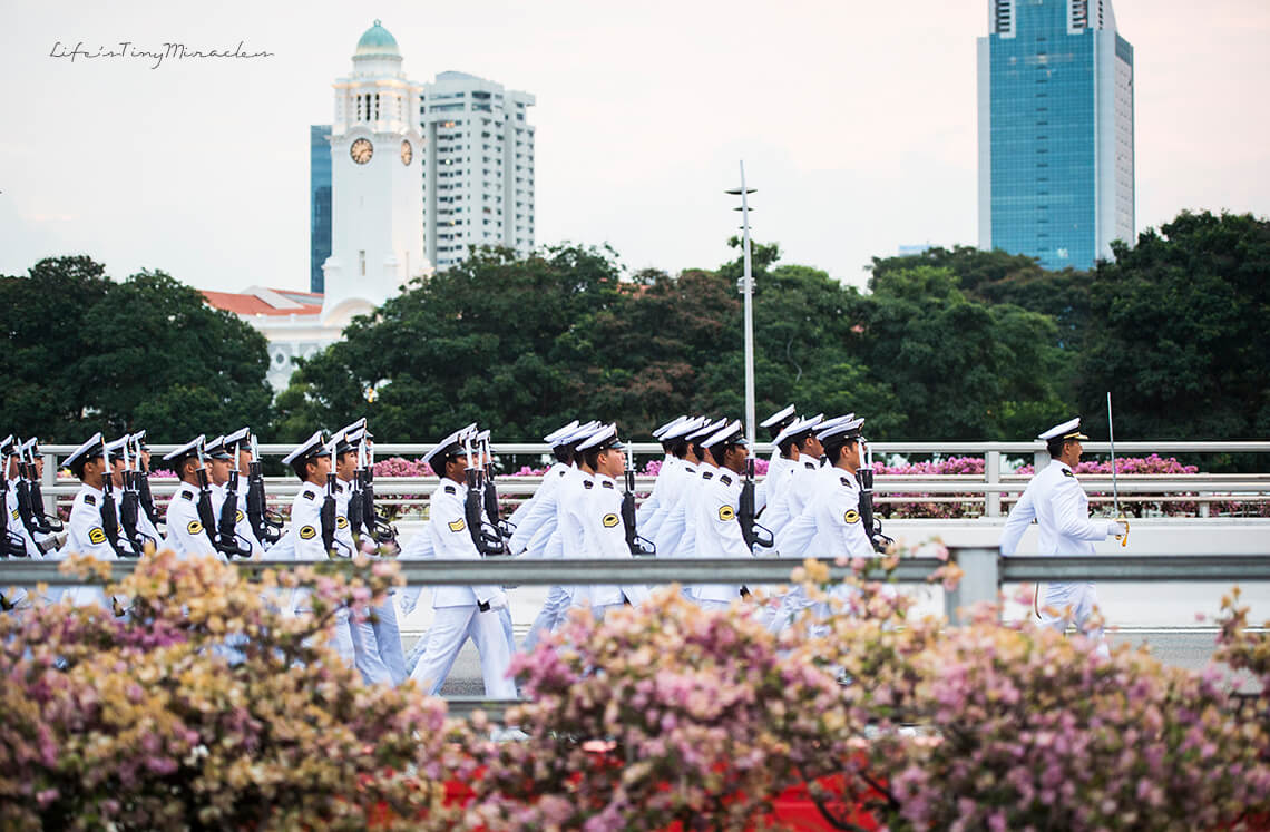 National Day Parade (NDP) 2015 - Soaking in the Action at the Fringe