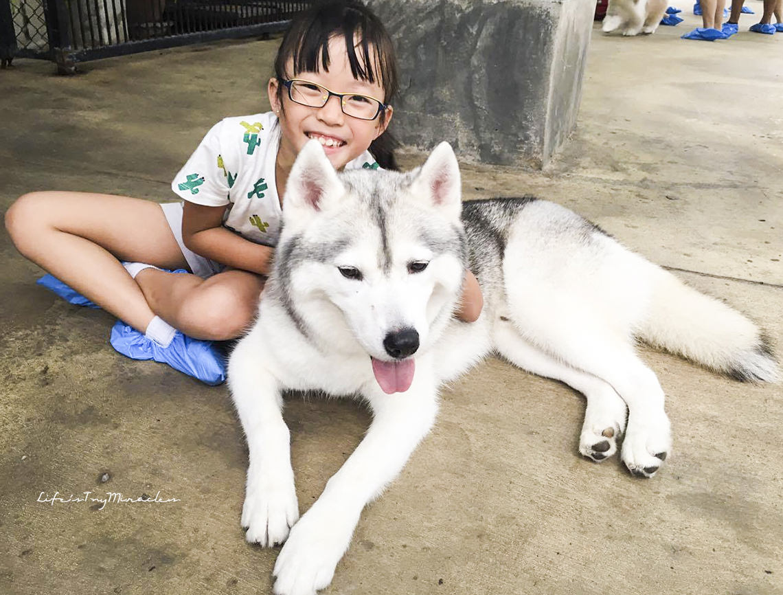 TrueLove@Neverland Cafe, Bangkok - A Date with the Huskies