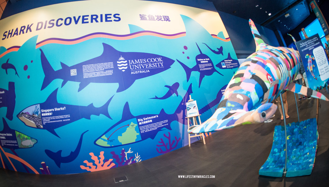 Be Guardians of the S.E.A.A at S.E.A. Aquarium